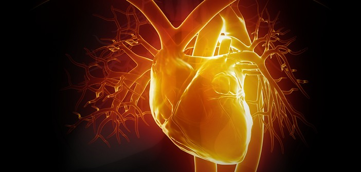 Kalp Katılığı - Islamiokul.com